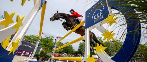 Welcome to the European Equestrian Federation website